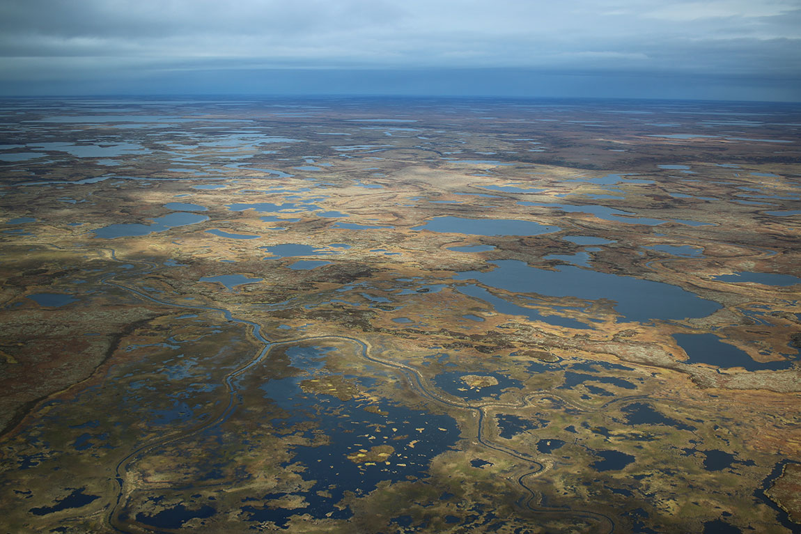 Yulista's Origin Story - Rooted in Alaska Native Values